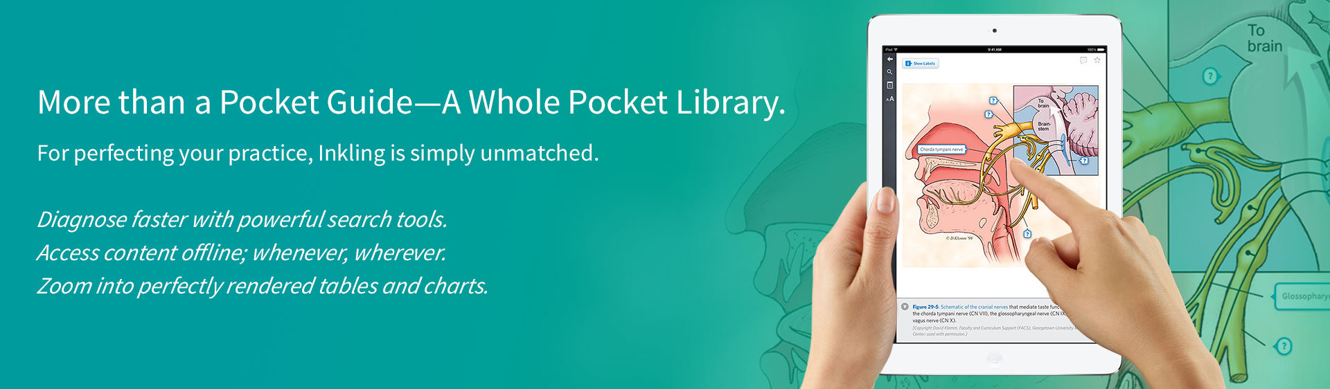 Inkling - Interactive books for iPad, iPhone and the web